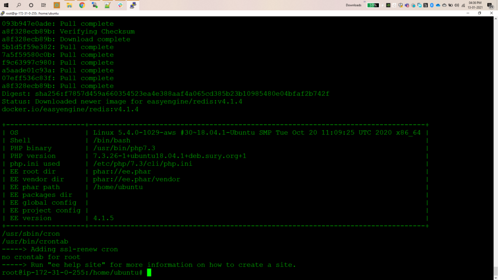 How to Install EasyEngine on Linux 2021 » Praful Bhuskute